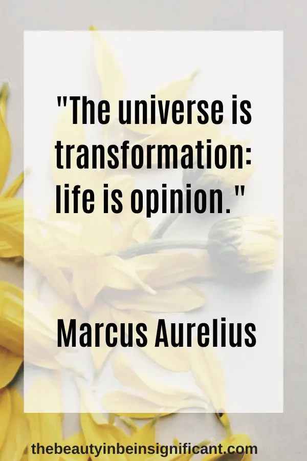 Discover your place in the world: 10 Stoic quotes on nature